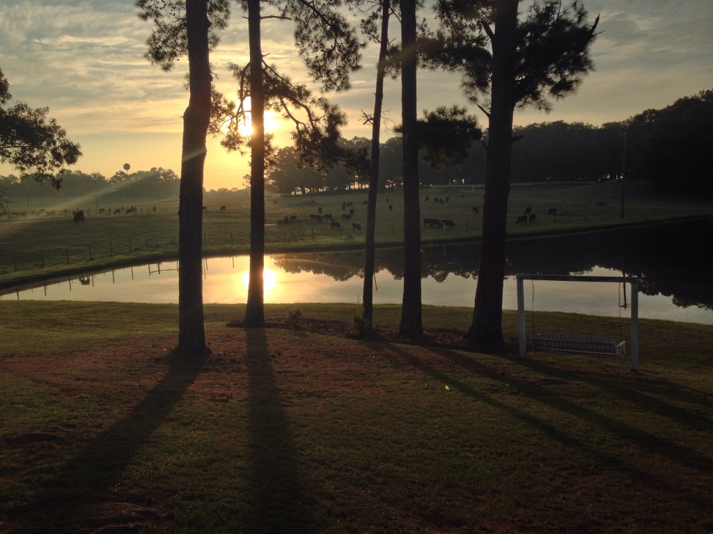 The Rock Ranch: The Farm That Truett Cathy Built – GAFollowers