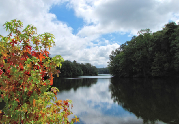 16 Pictures that Prove Georgia is a BEAUTIFUL Place to Live – GAFollowers