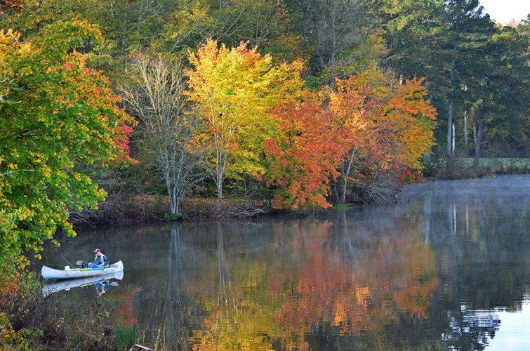Panola-Mountain-Alexander-Lake-755×500 – GAFollowers