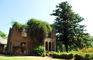 4 Absolutely Breathtaking Georgia Gardens to Visit this Summer ...