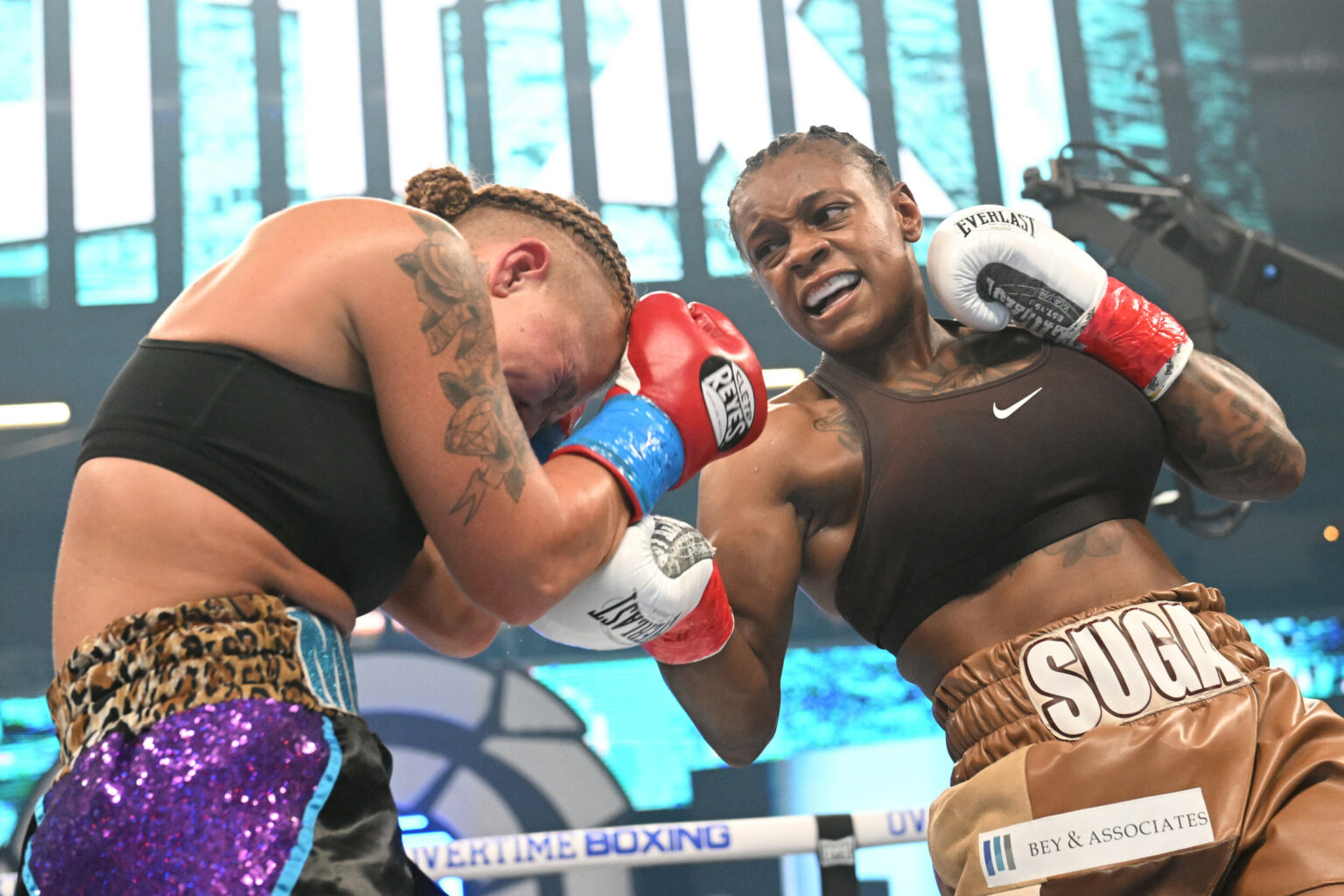 New Contender Enters Arena in Pro Boxing Promotion – GAFollowers